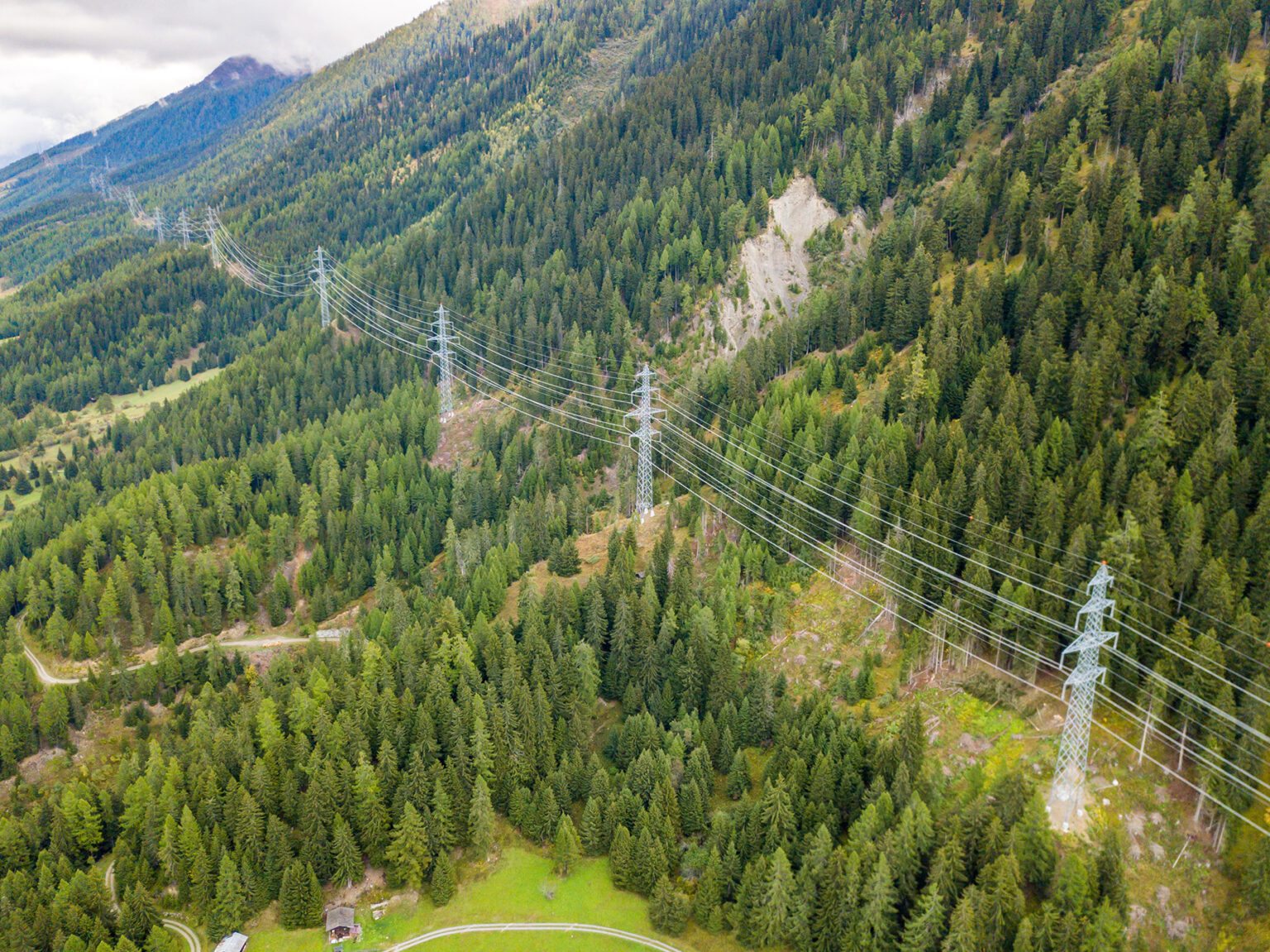 Powering Europe's Grid: Digitalization, AI, and Policy in Action